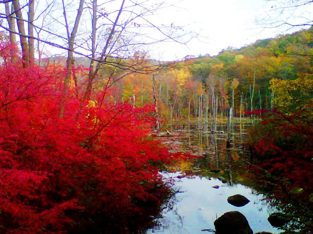 Robert Masten Obituary - Westwood, NJ