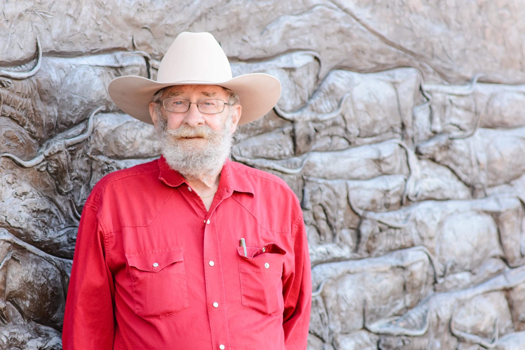 David Watson Obituary - Frisco, TX