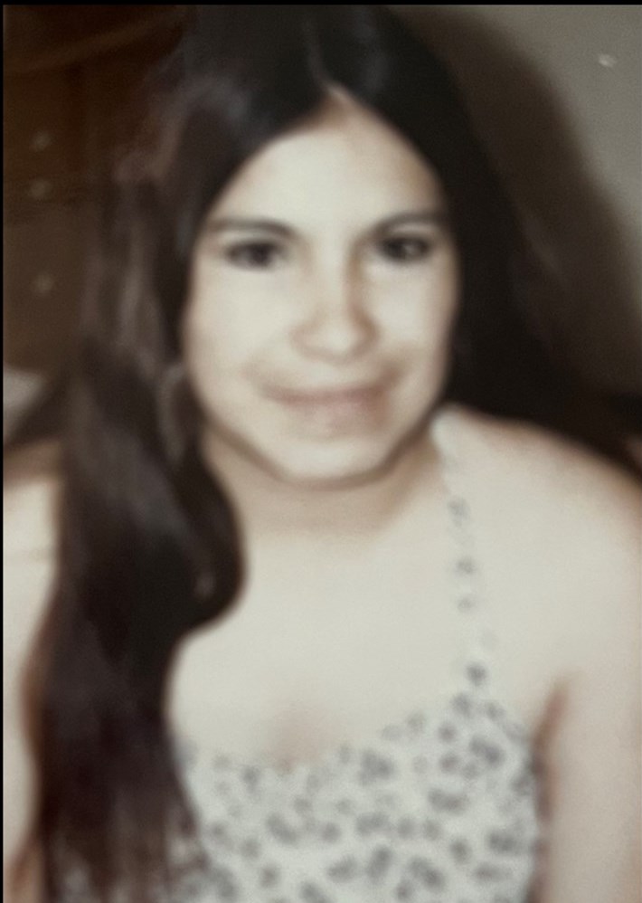 Petra Hernandez Obituary - Houston, TX