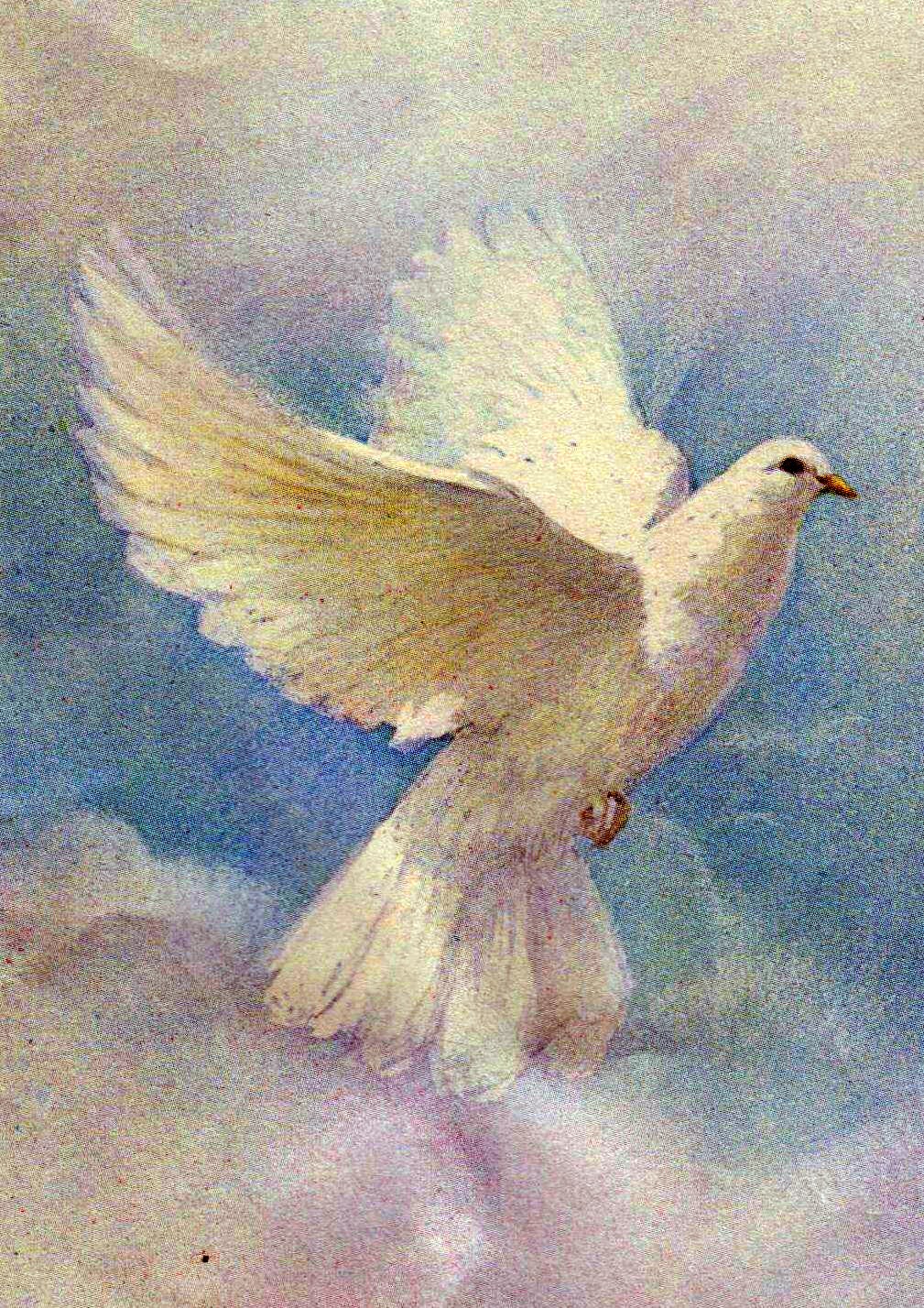 Christine Cain Obituary - Deer Park, NY