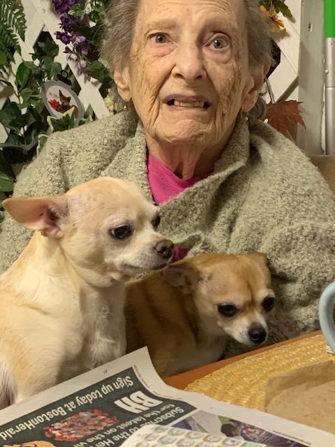 Shelley Kushinsky Obituary - Brookline, MA