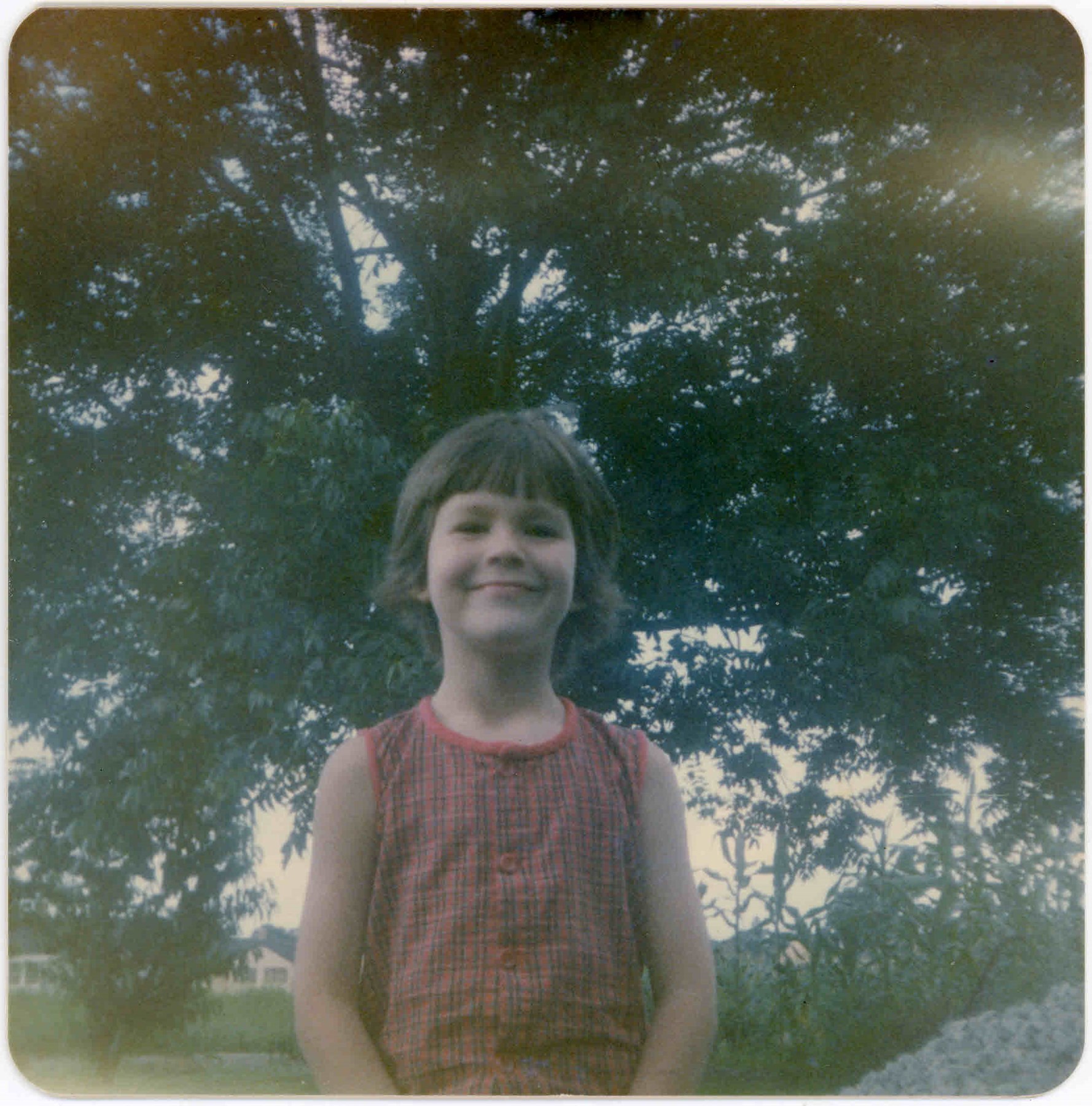 Solway Firth Spaceman Explained