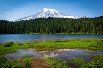 Kelvin Kleinman Obituary - Seattle, WA