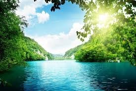 Mary Ellen Burns avis de décès - Syosset, NY