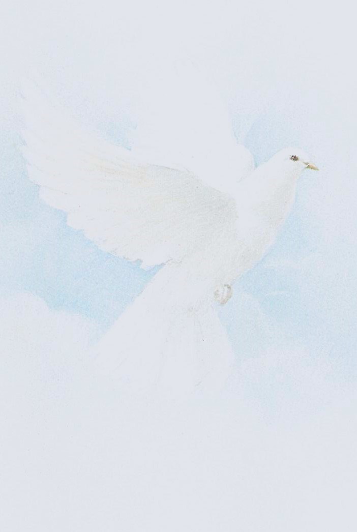 Noemi Estela Gamboa Obituary - Ontario, CA