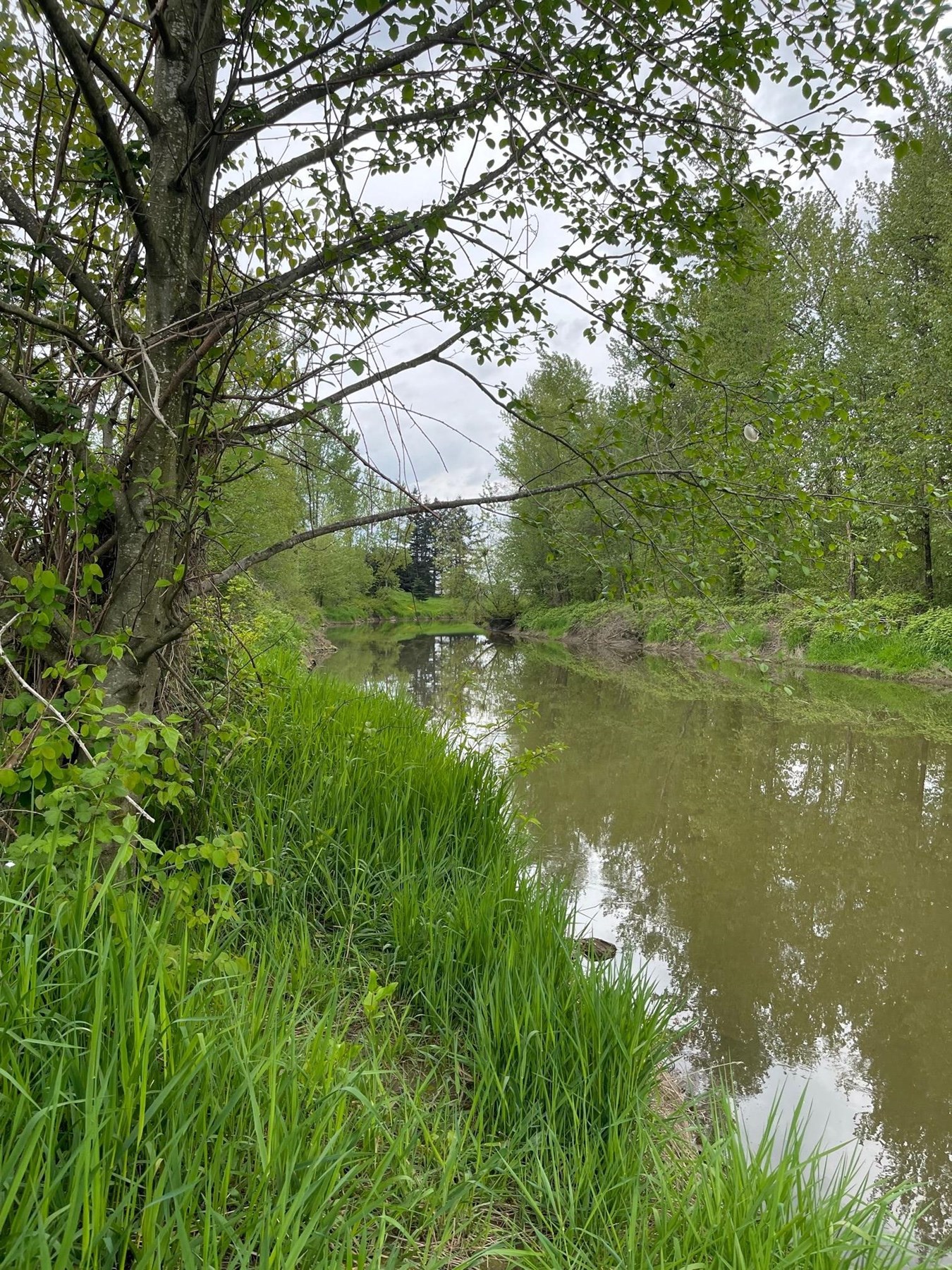 Donald Chase Obituary - Vancouver, BC