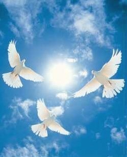 Vernon Cunningham Obituary - Kelowna, BC
