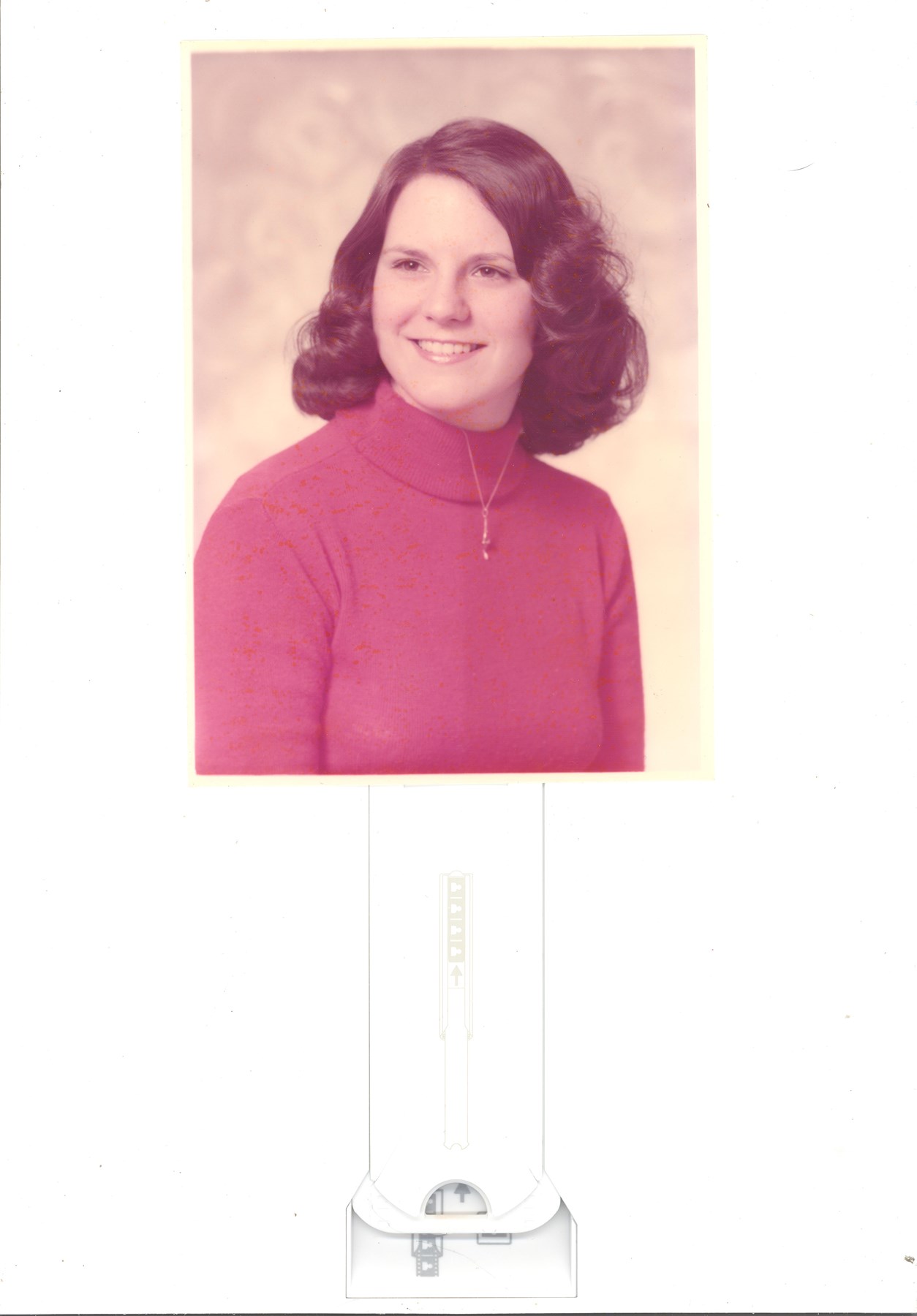 Judith Fasulo Obituary - Tampa, FL