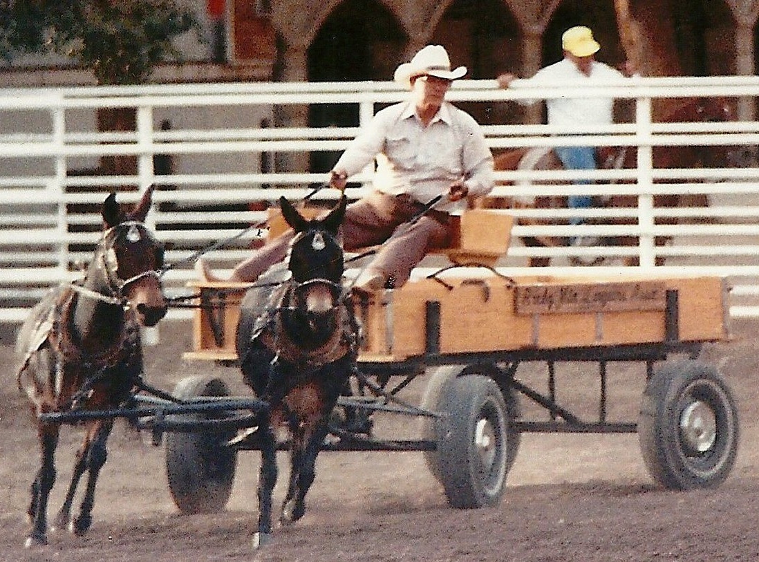 Bill Shively Obituary - Castle Rock, CO