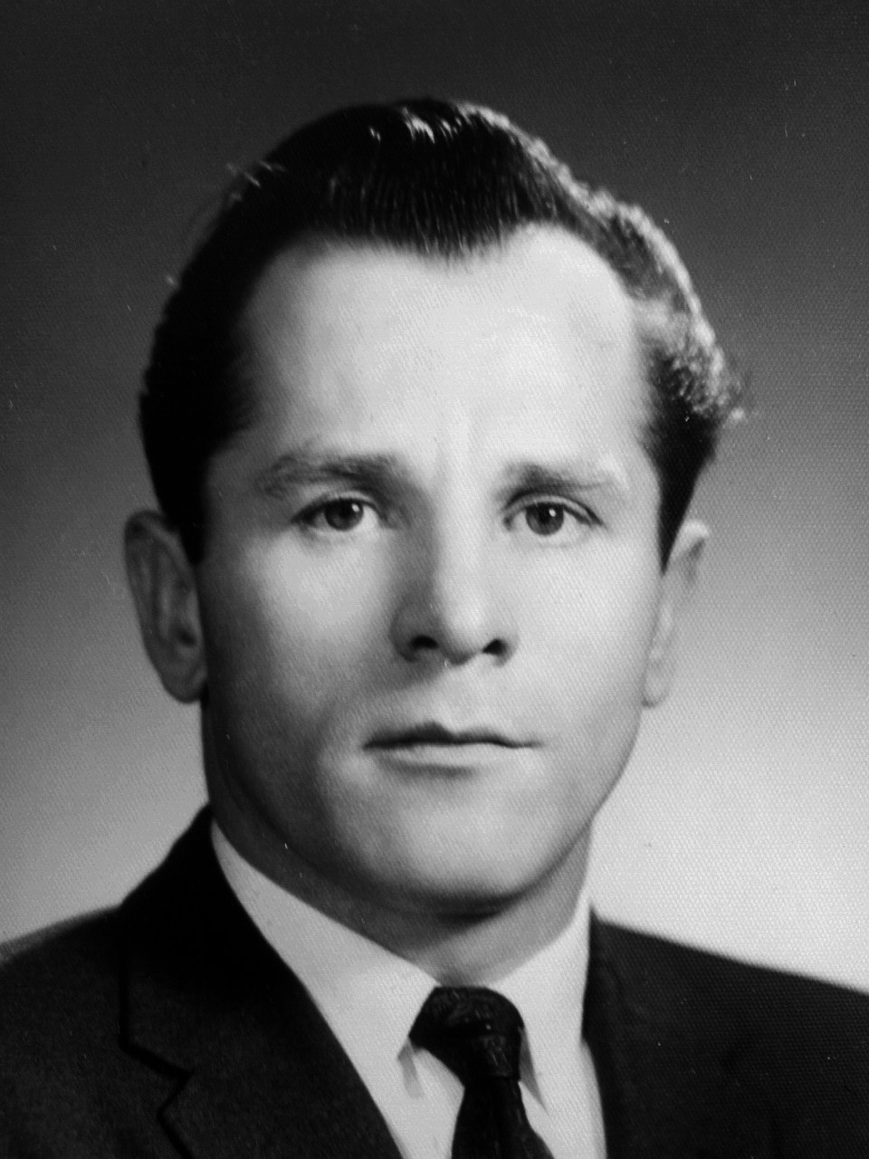 Mr Ludvik Kastelic Obituary - Hamilton, ON