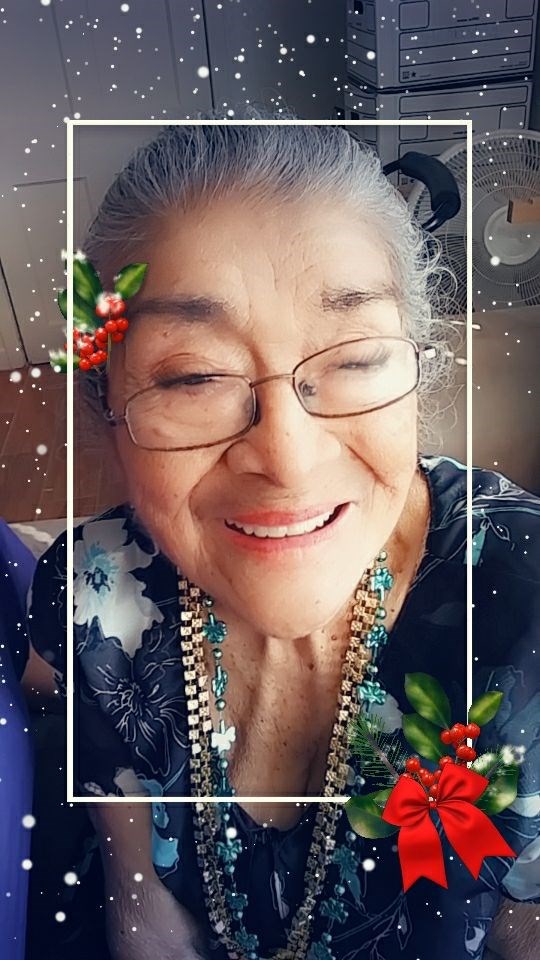 Cristina Cruz Coronado Obituary - Houston, TX