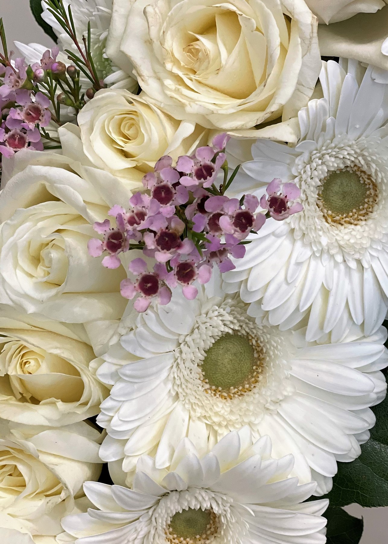 Kenneth Morrison Obituary - Vancouver, BC