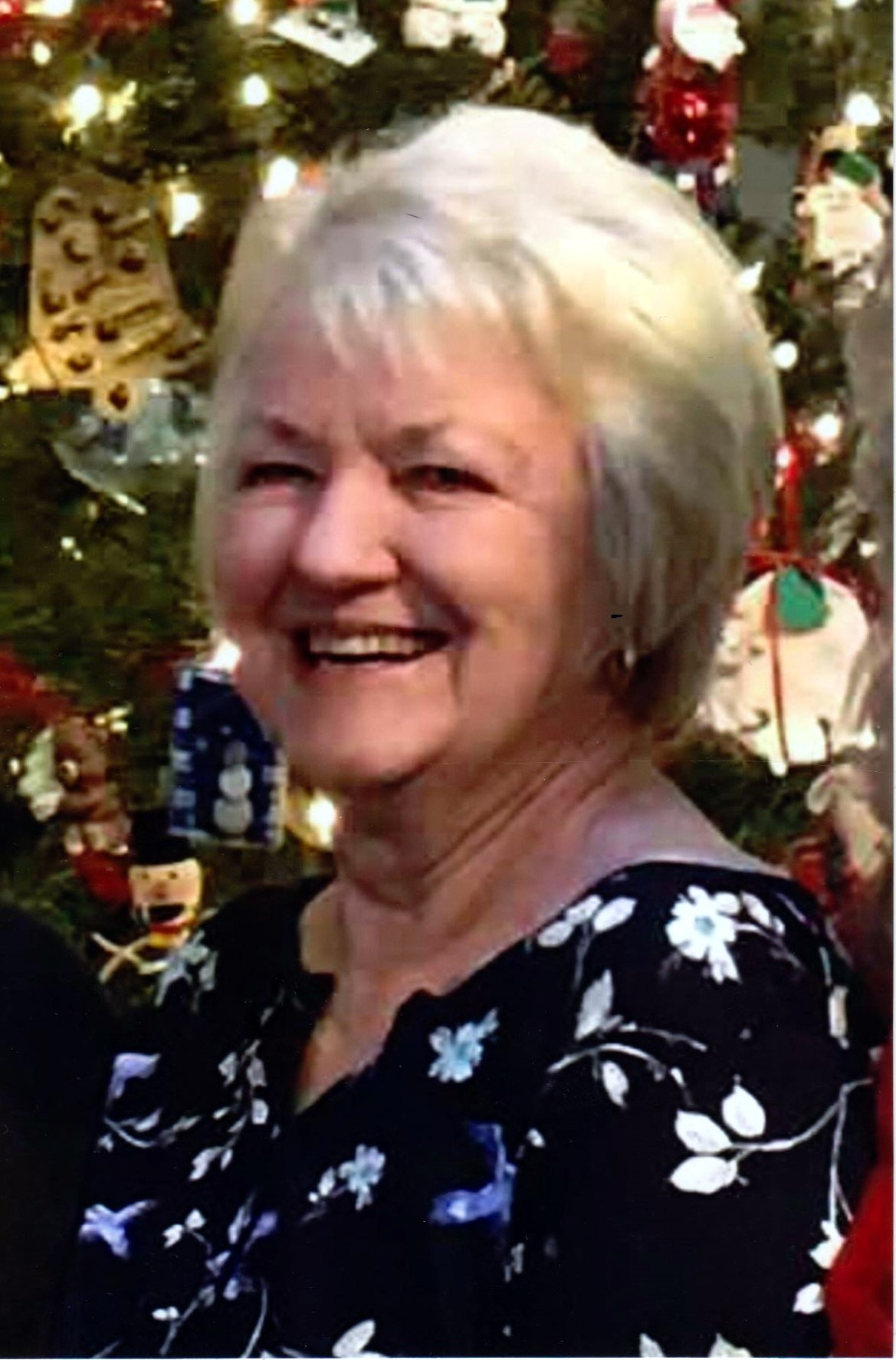 Judith Marie Volker Obituary - Livonia, MI