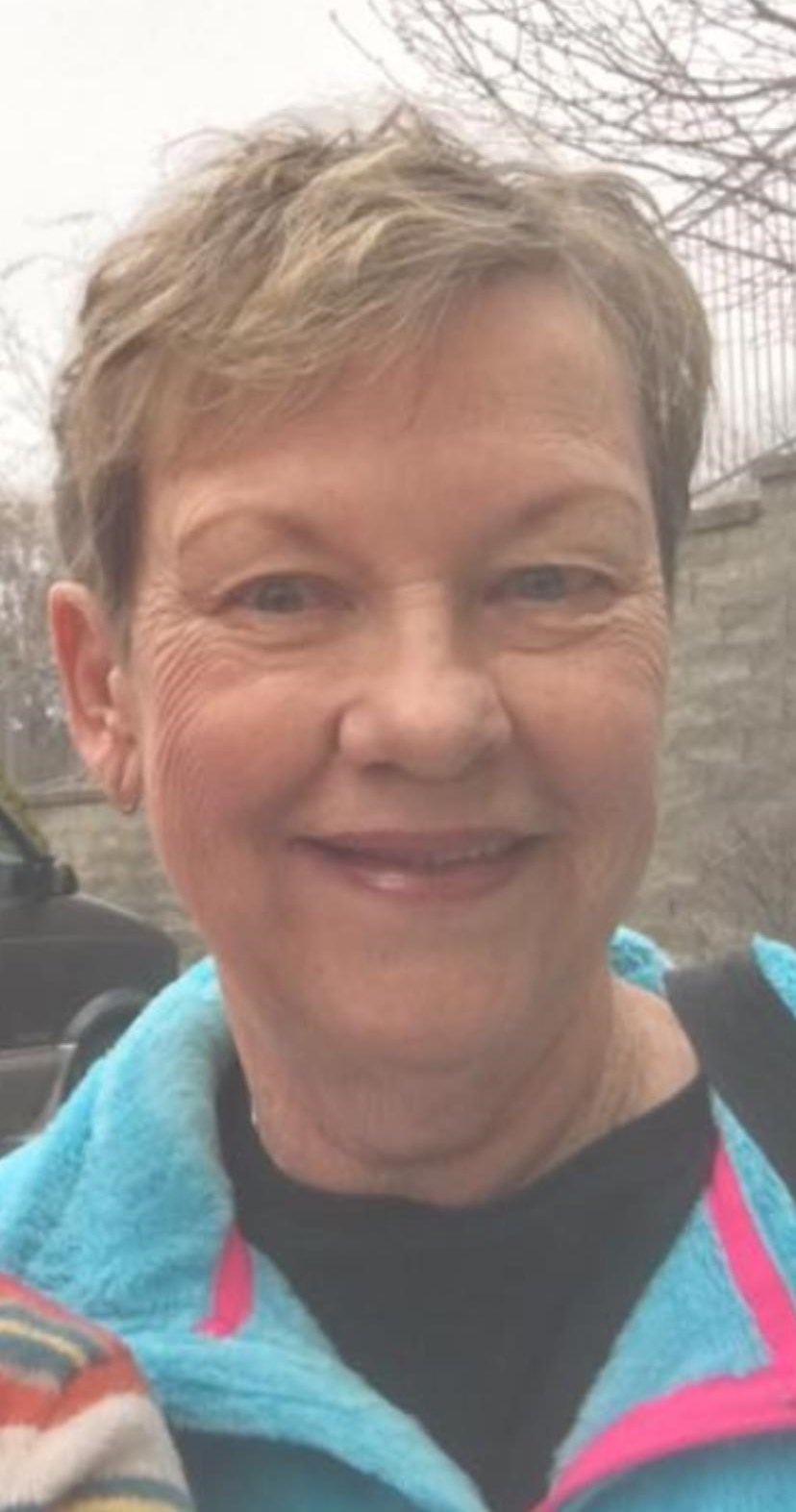 Carol Bergman Obituary - St. Louis, MO