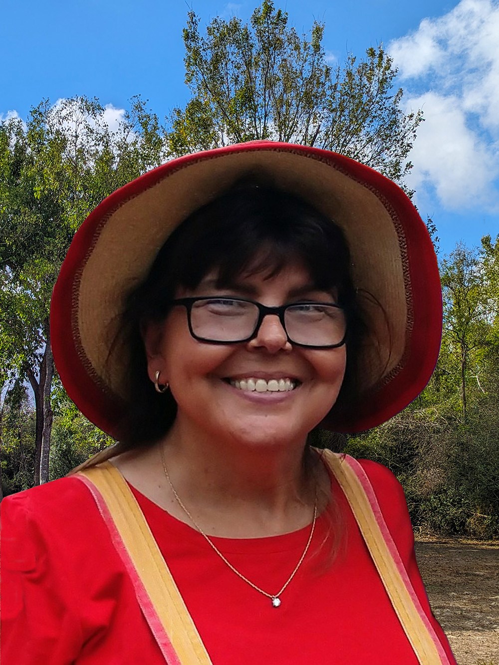 Lisa Tamborello Obituary - Houston, TX