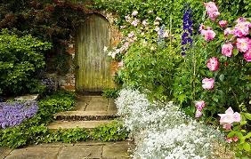 Celia Medina Obituary - Reedley, CA