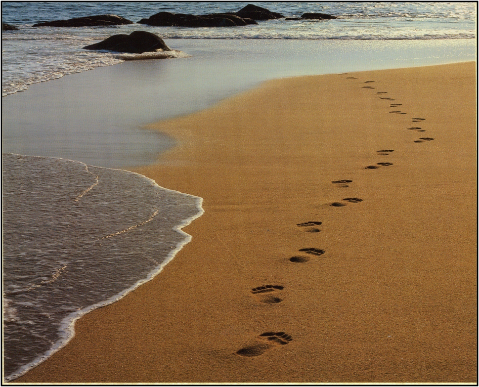 Elizabeth Eppes Obituary - Mechanicsville, VA