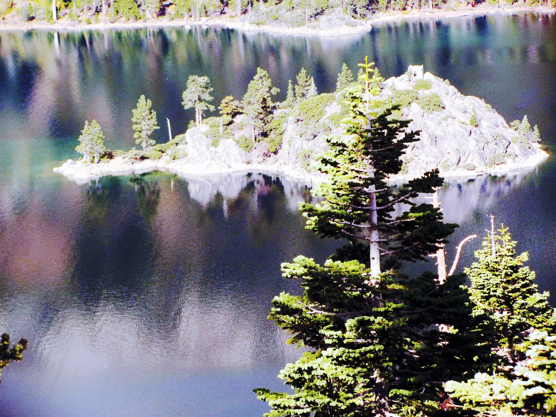 Jane Saul-Jones Obituary - Fresno, CA