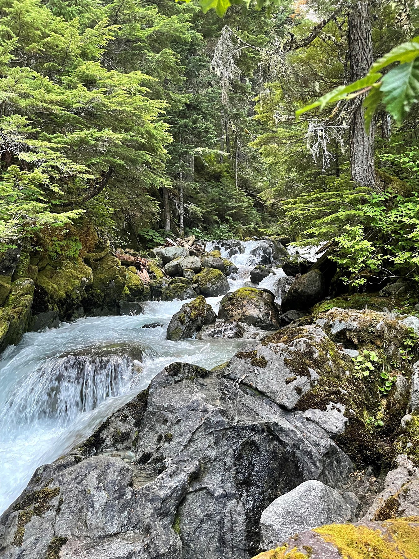 Zachary Mac Nathaniel Trimble Obituary - Vancouver, BC