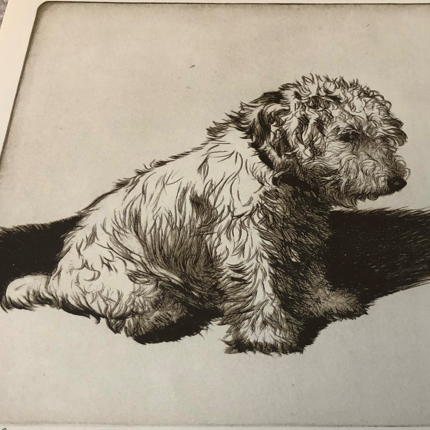 Judith Ann Clark Obituary - Barstow, CA