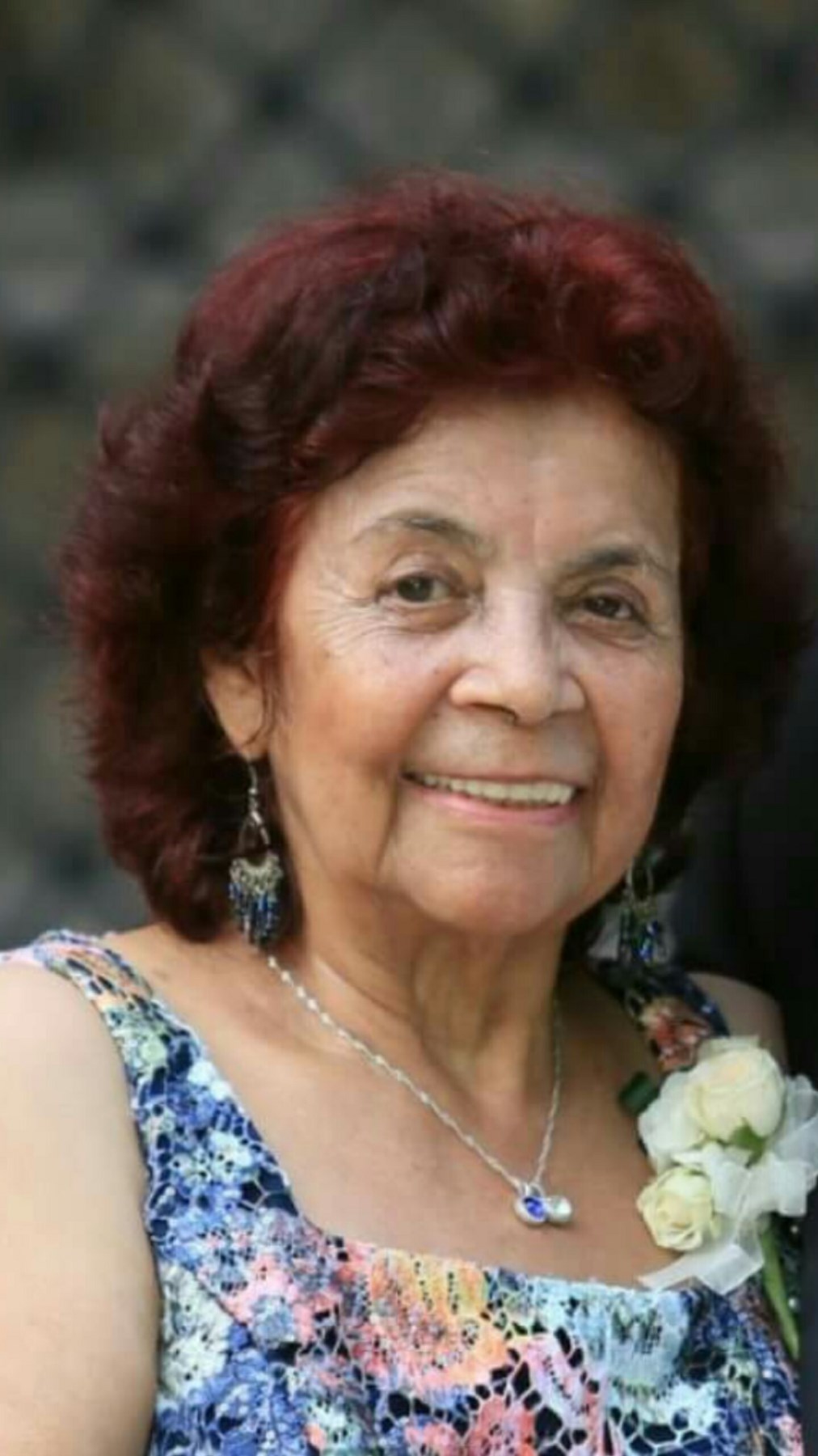 Maria Ward Obituary - Sarasota, FL