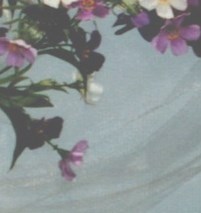 Kenneth James Strickland Obituary - Jacksonville, FL Kenneth James Strickland Obituary - Jacksonville, FL