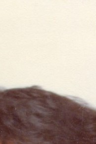 Magdalena Alvarez Jimenez Obituary - Phoenix, AZ Magdalena Alvarez Jimenez Obituary - Phoenix, AZ