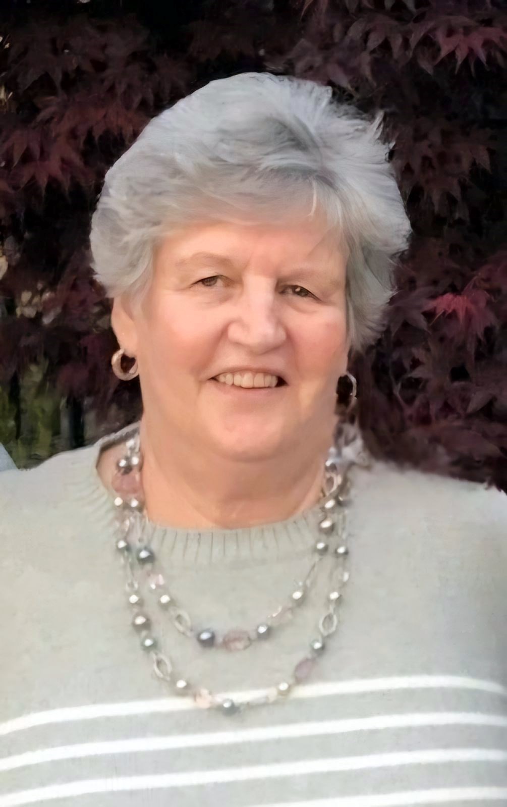 Diane Syfer Obituary - Charlotte, NC