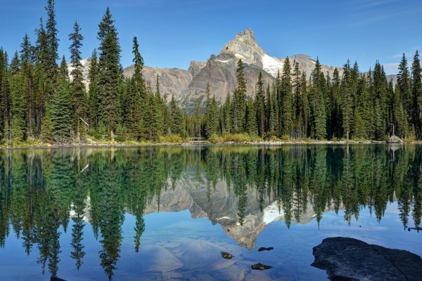 Fred Boudreault Obituary - Toronto, ON