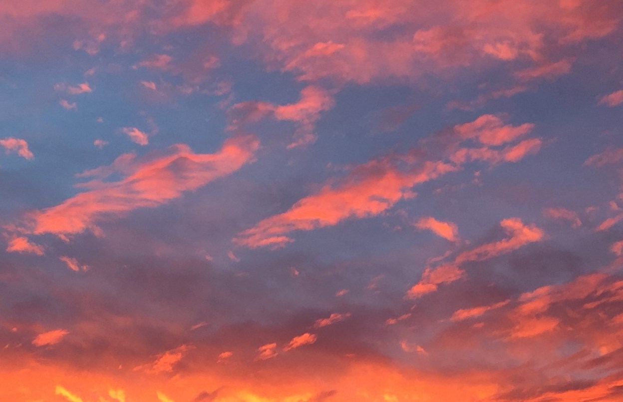 Patsy Irene Lewis Obituary - Glendale, AZ