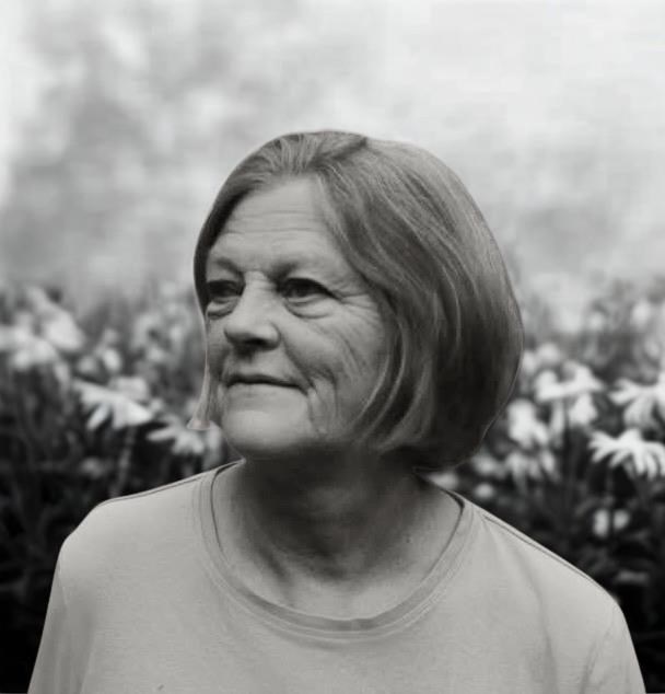 Nancy McCollum Obituary - Harrisburg, PA