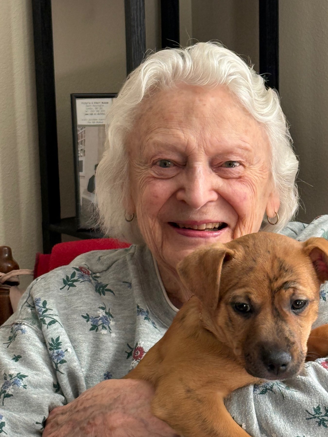 Lynette de la Torre Obituary - Spokane, WA