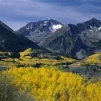 Donald Morgan Obituary - Grand Junction, CO