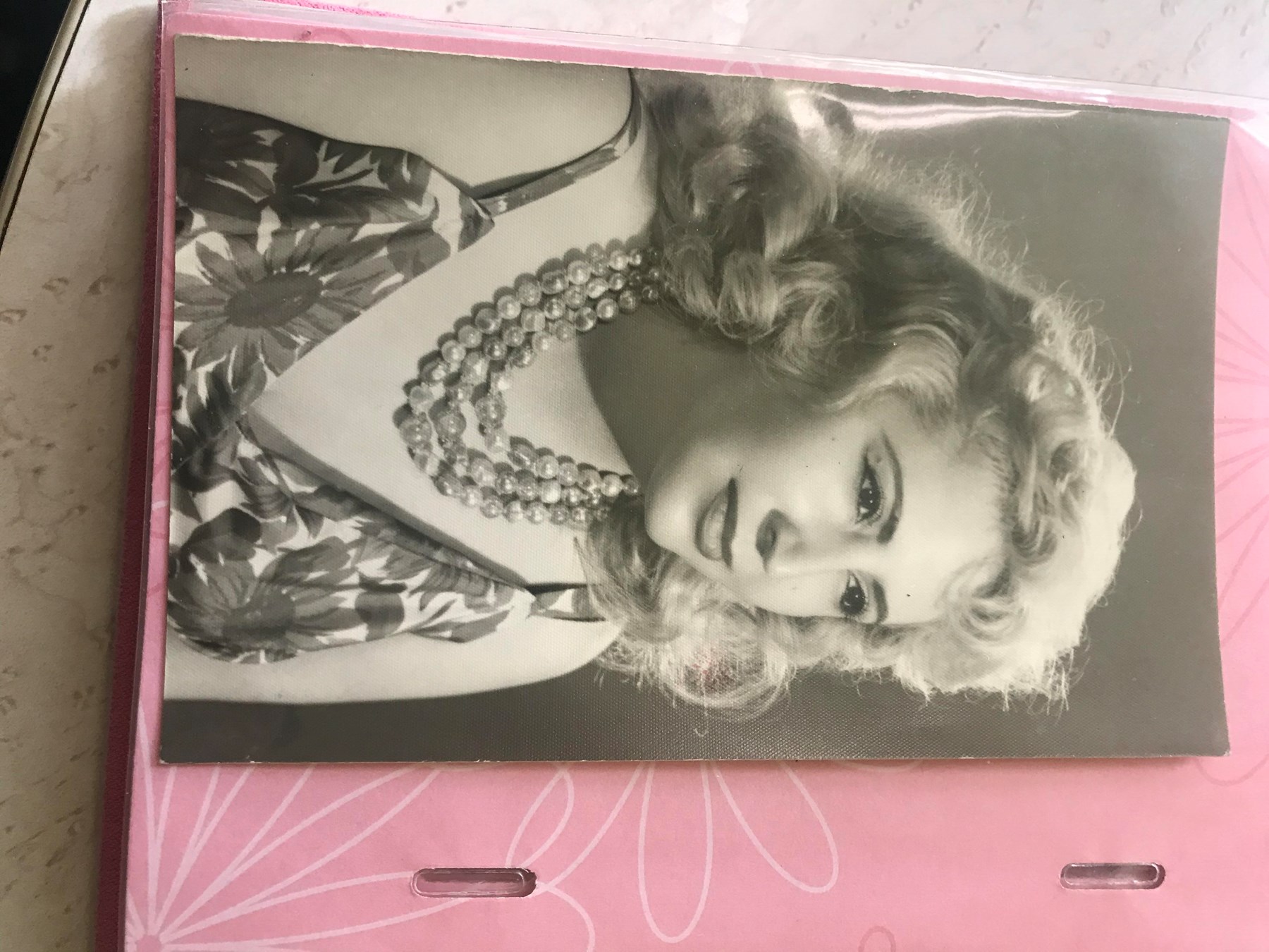 Shandra Elias Obituary - Stickney, IL