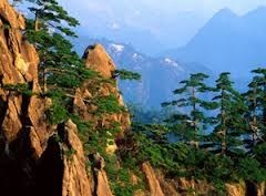 Troy Dinkel Obituary - Westwood, NJ