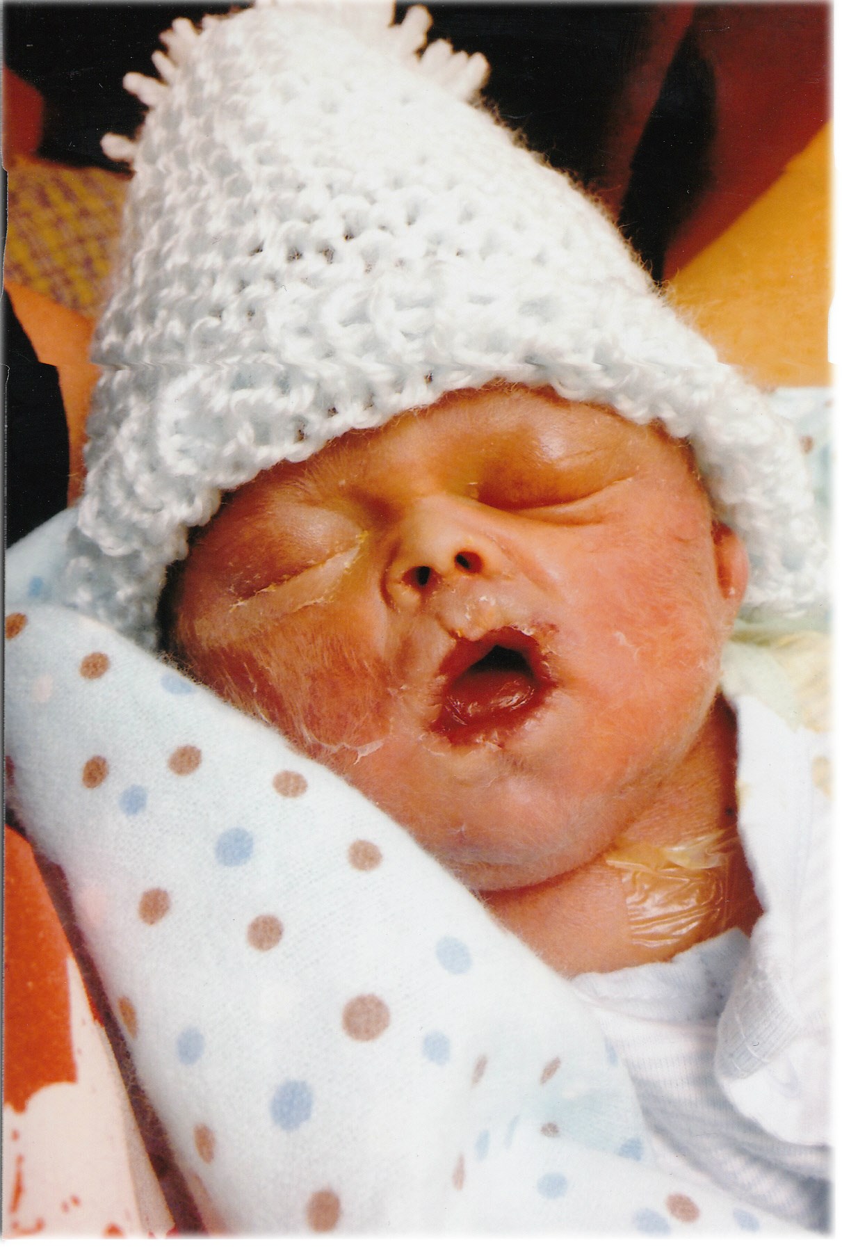 Dominic Clark Obituary - Tucson, AZ