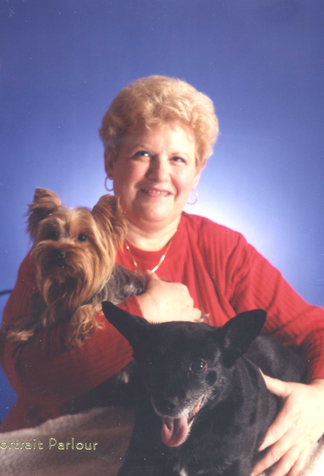 Susan Jane South Obituary - Springfield, IL