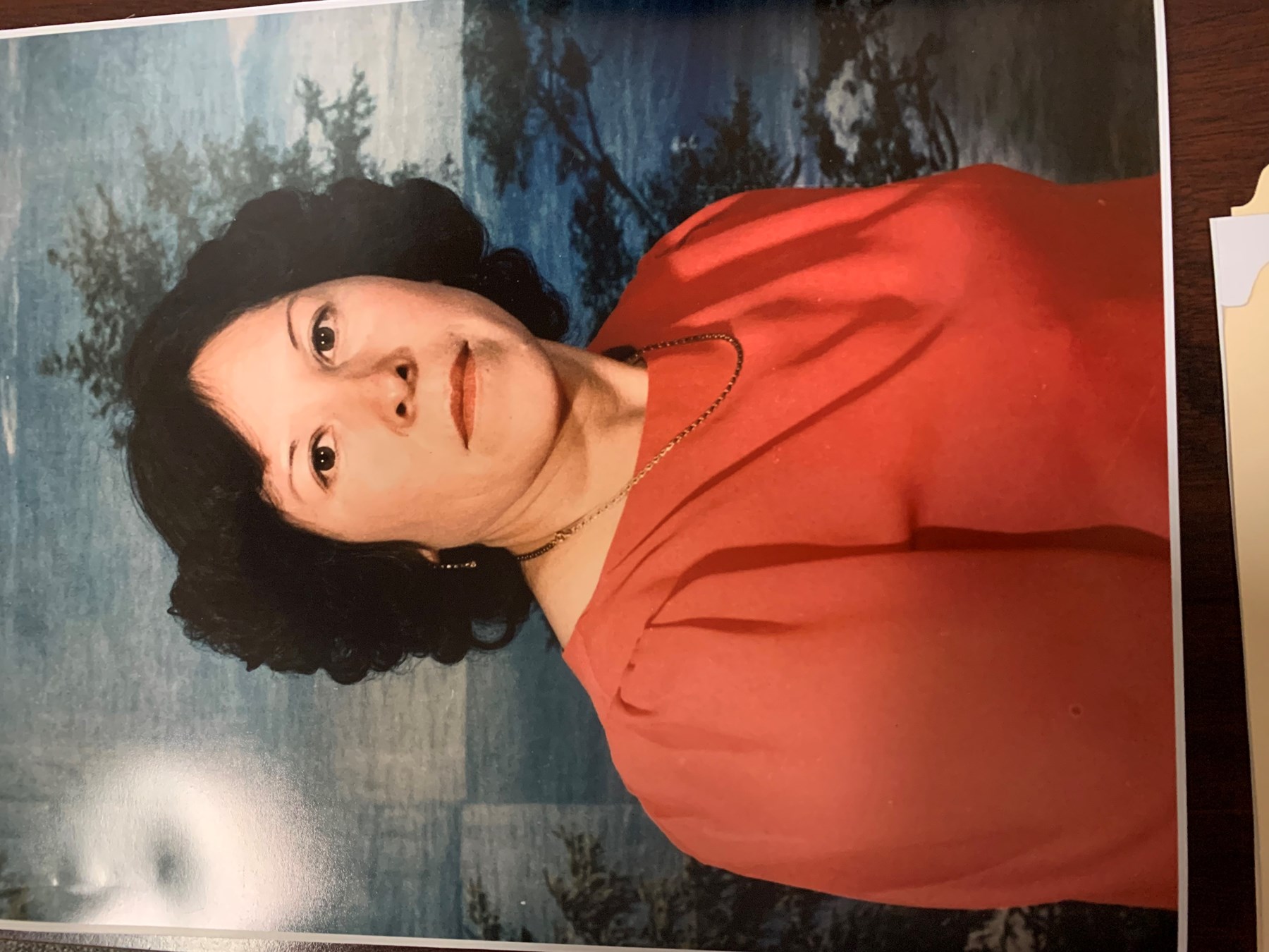 Delia Silva Obituary - El Paso, TX