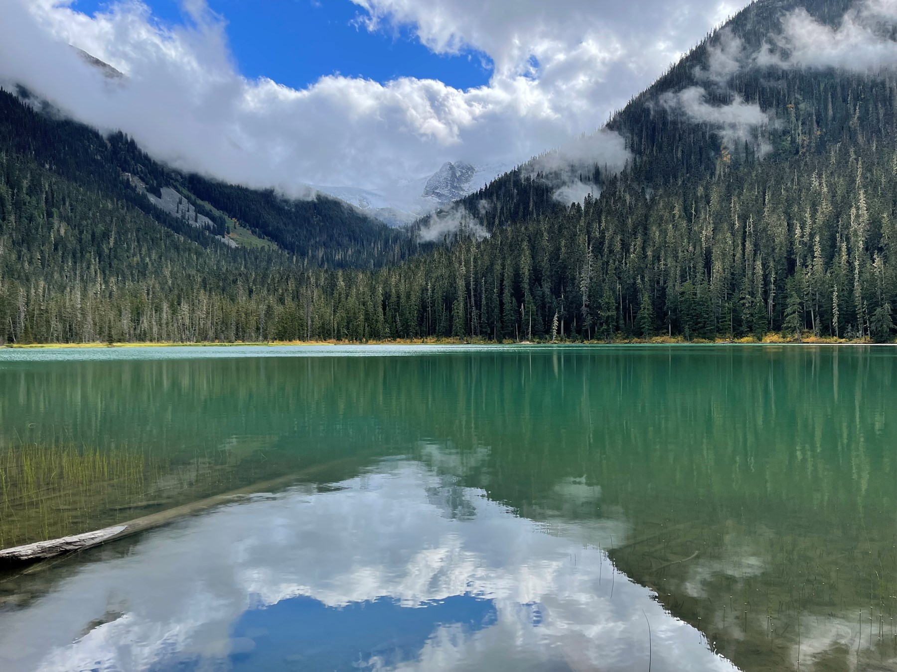 Annette Nolie Obituary - Vancouver, BC