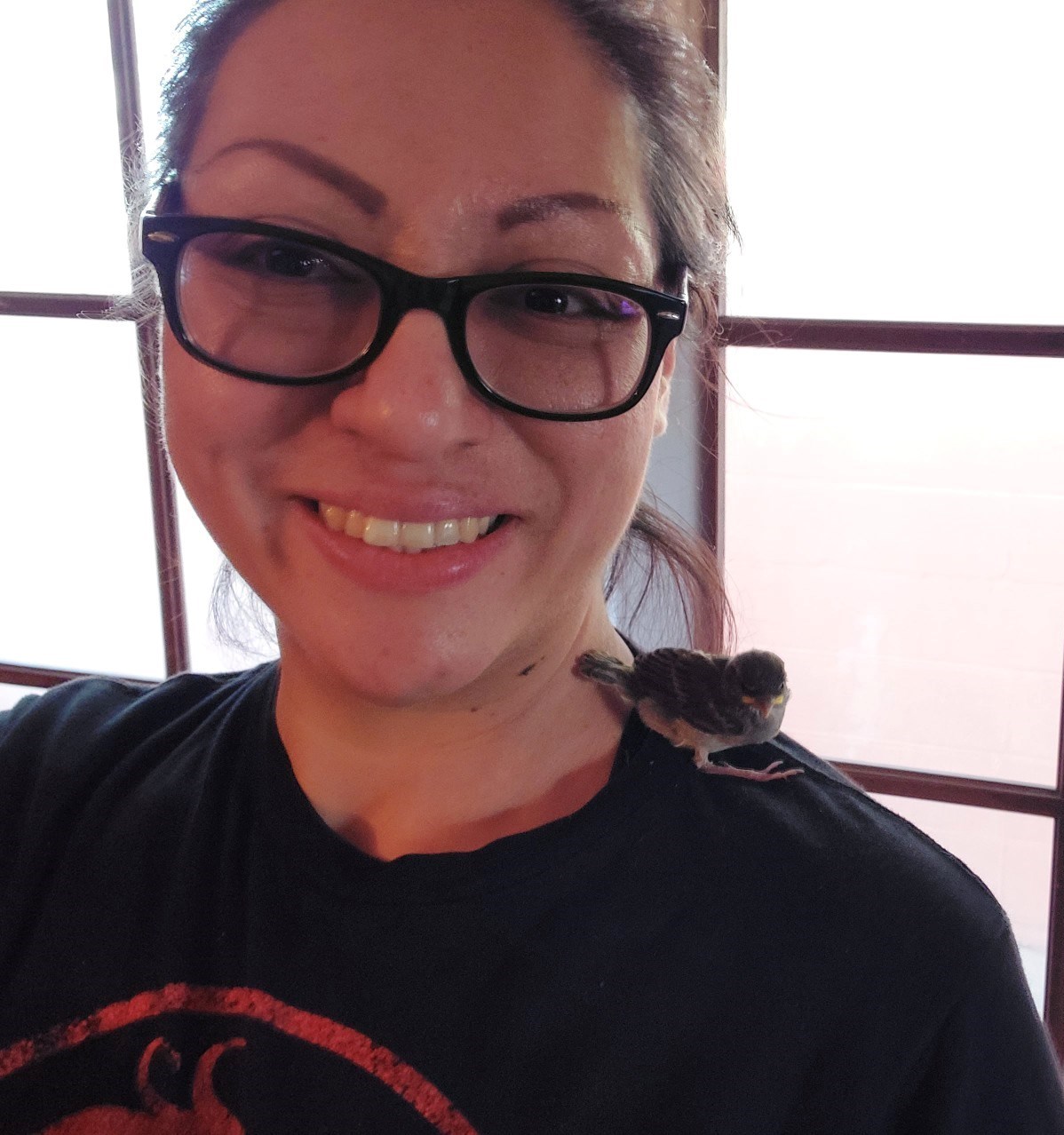 Edna Orona Obituary - El Paso, TX