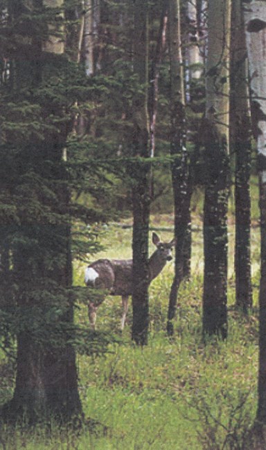 Paul Barrett Bryan Jr. Obituary - Seattle, WA