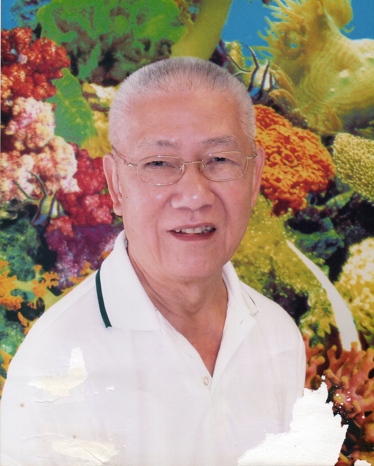 Sang Chan Obituary - Honolulu, HI