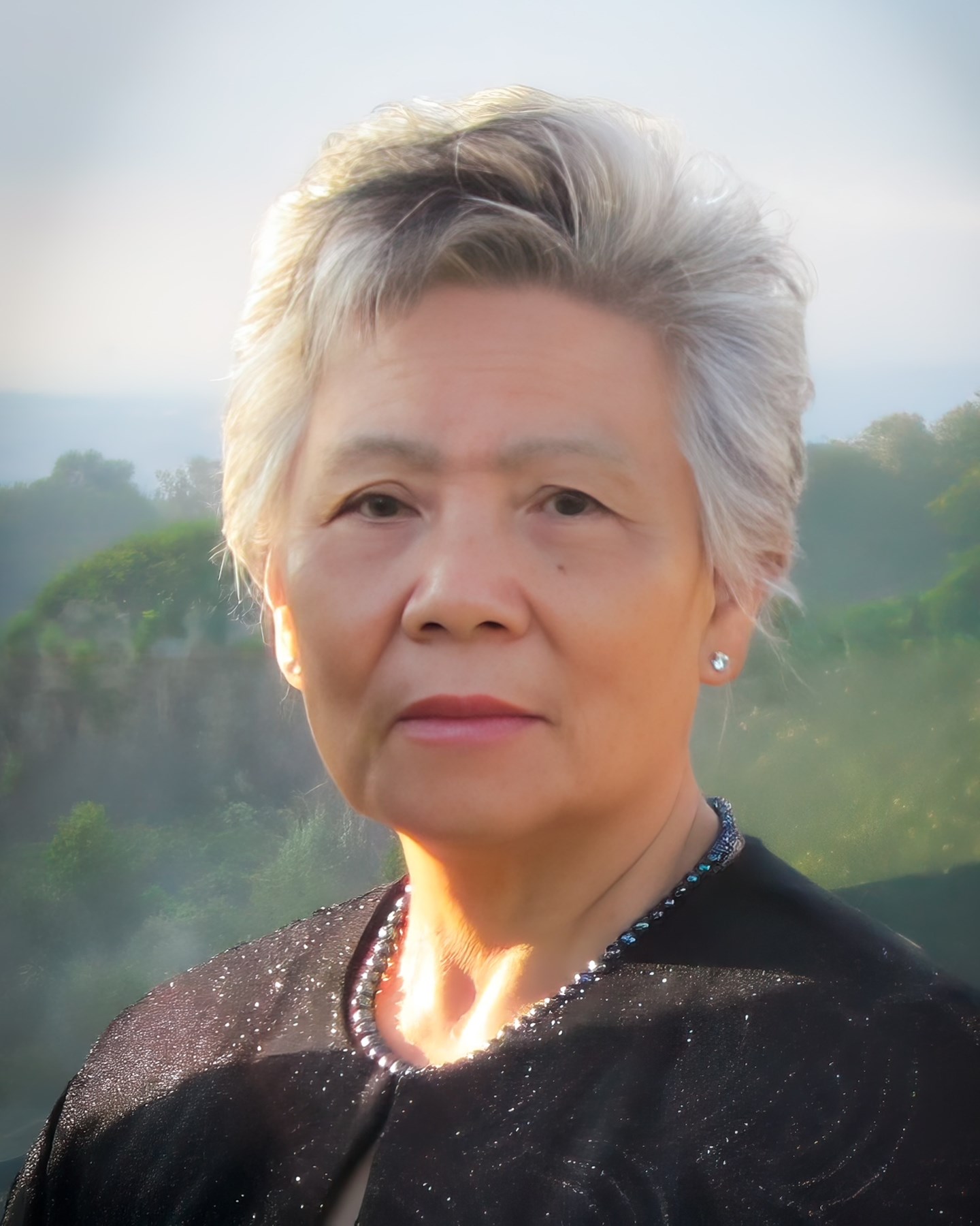 Ai Lanh Diep Obituary - Whittier, CA