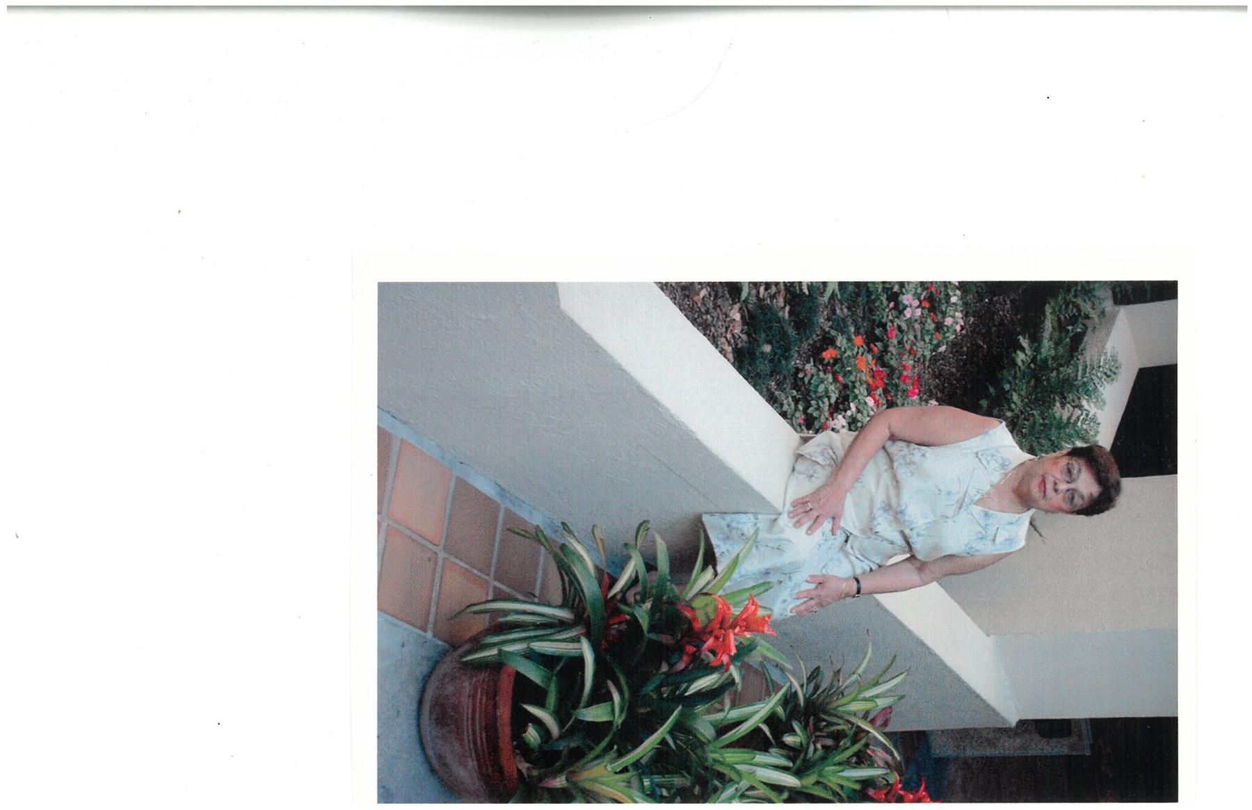 Carmen Rivera Obituary - Orlando, FL