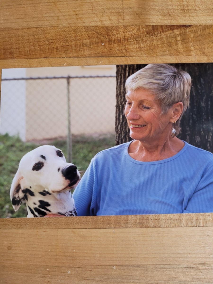 Carol Schubert-Witek Obituary - Jacksonville, FL