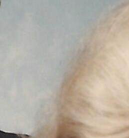 Delores I. Christian Obituary - Dayton, OH Delores I. Christian Obituary - Dayton, OH