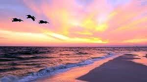 Lorraine Russo Obituary - Westwood, NJ