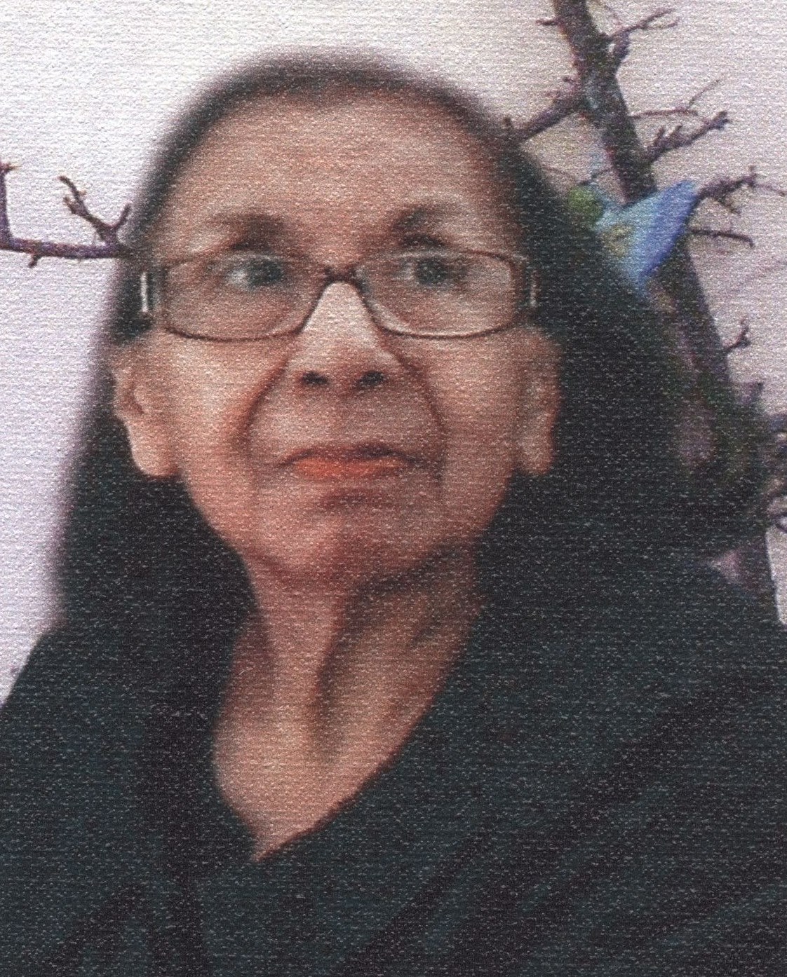 Rosa Frausto Obituary - Los Angeles, CA