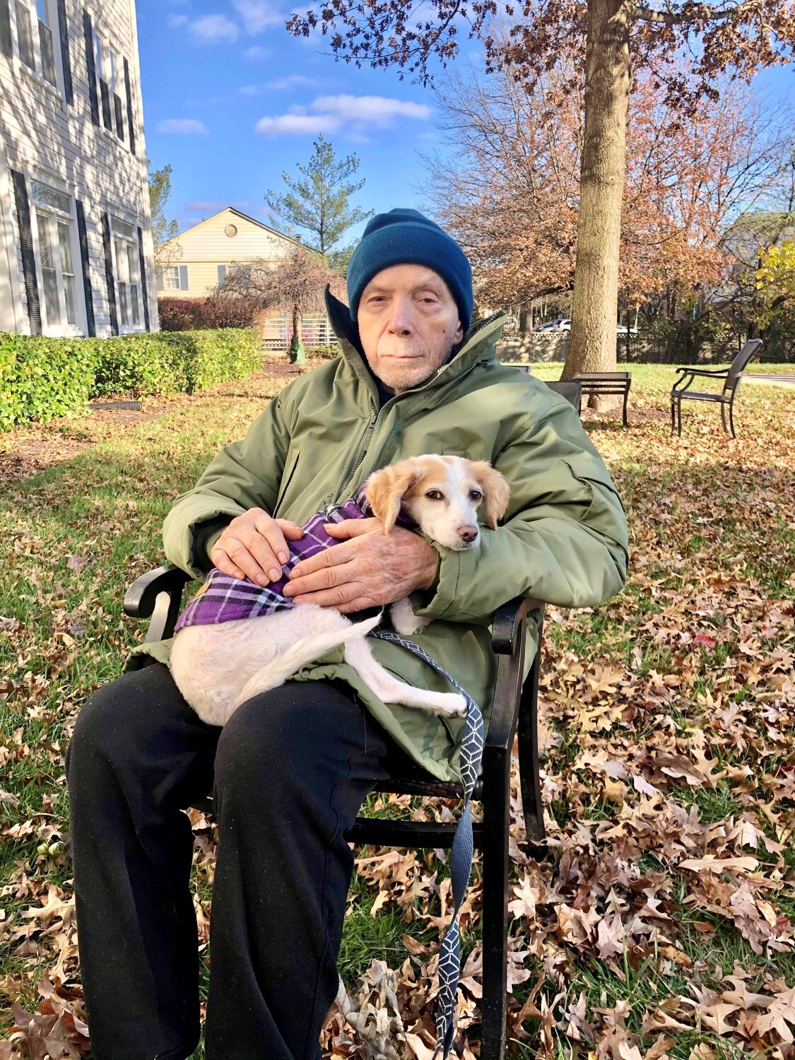 David Reff Obituary - Washington, DC