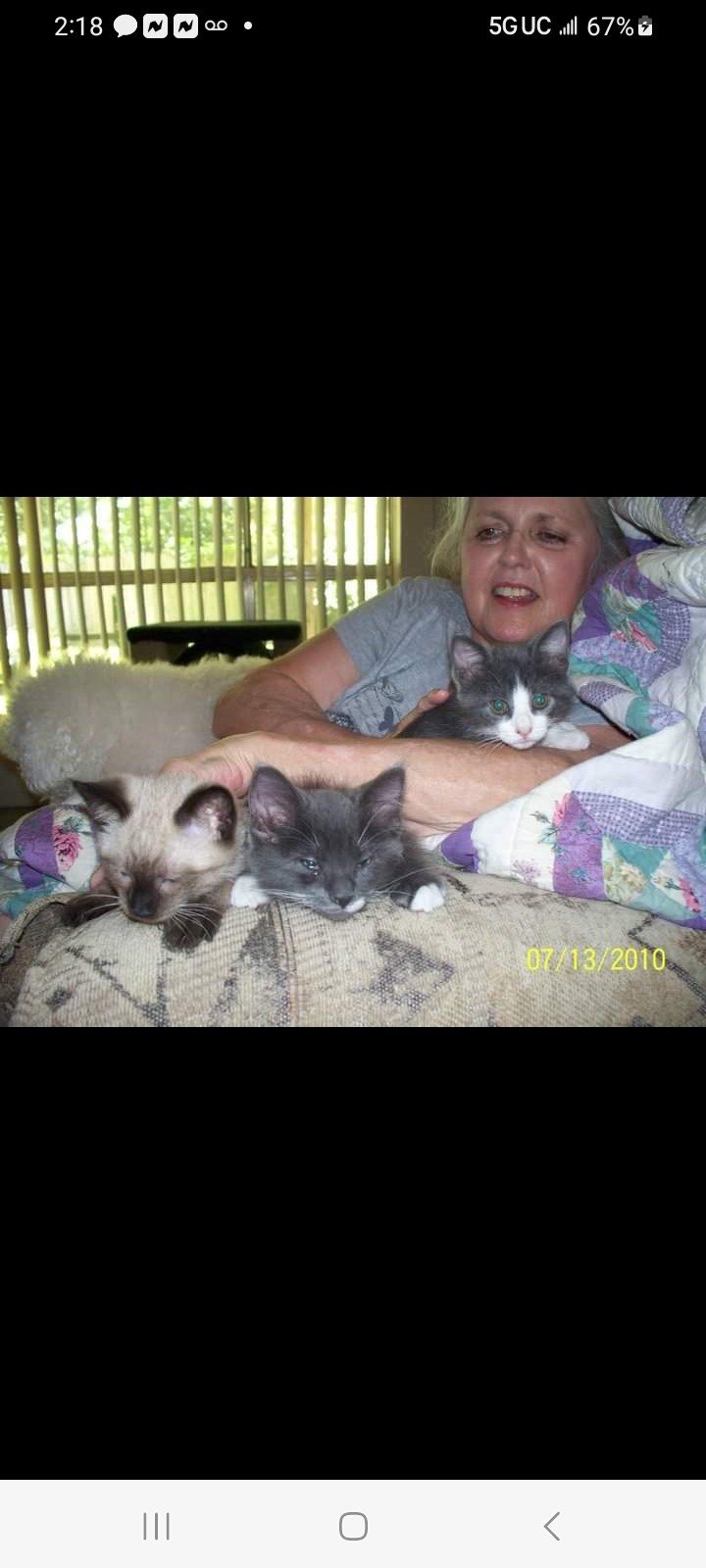 Docia Ann Edgar Obituary - Houston, TX